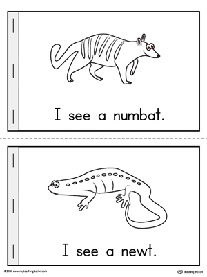 Letter N Words Printable Mini Book | MyTeachingStation.com