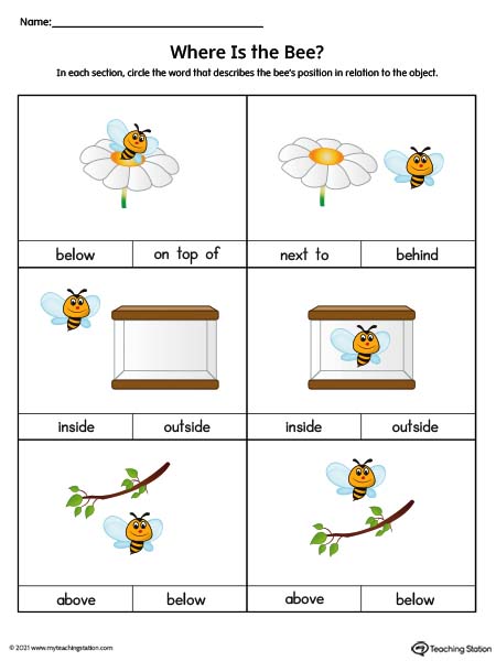 Positional Words Worksheet On Top Of Next To Behind Inside Outside 
